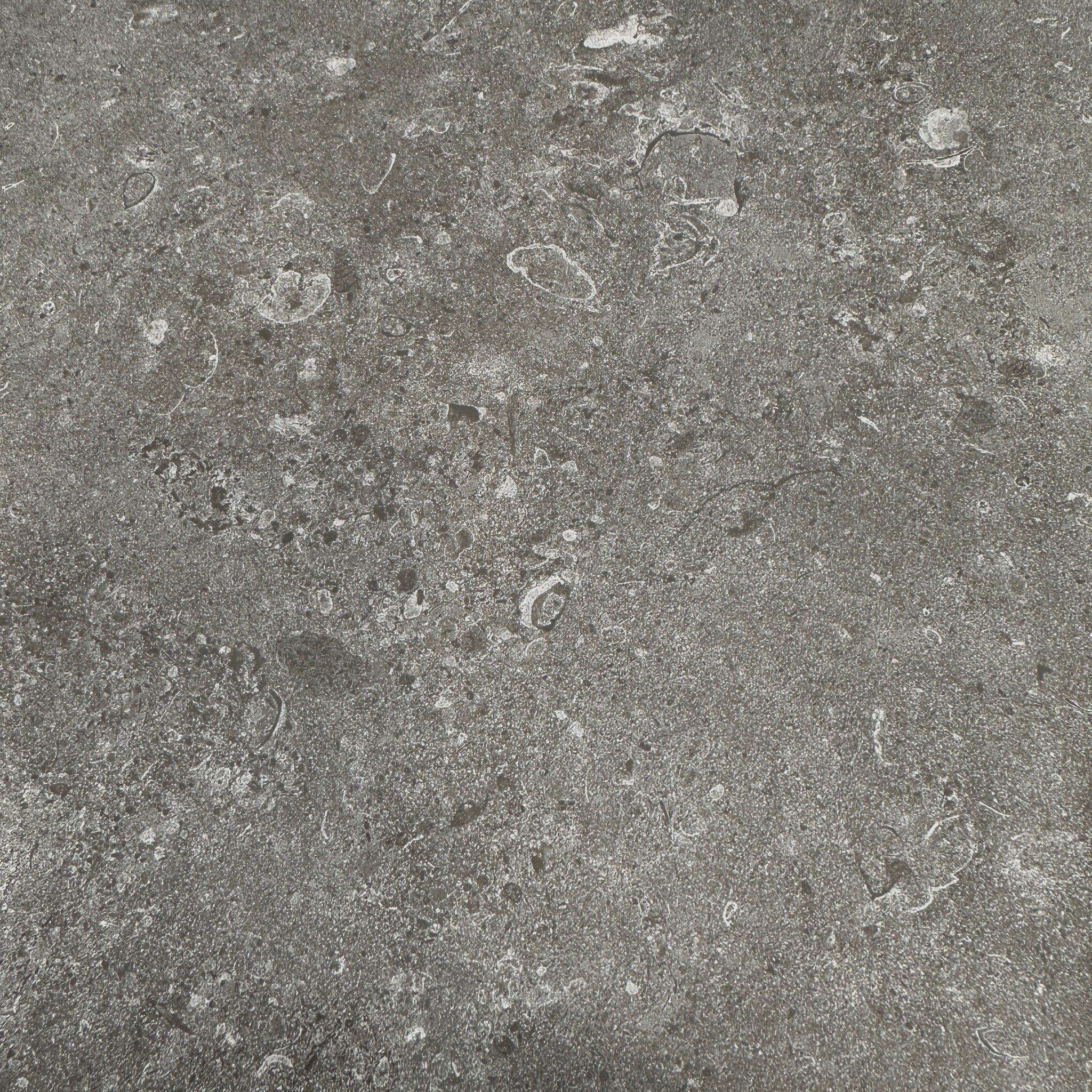 Byron Charcoal Stone Look Tiles – Ammonite Living